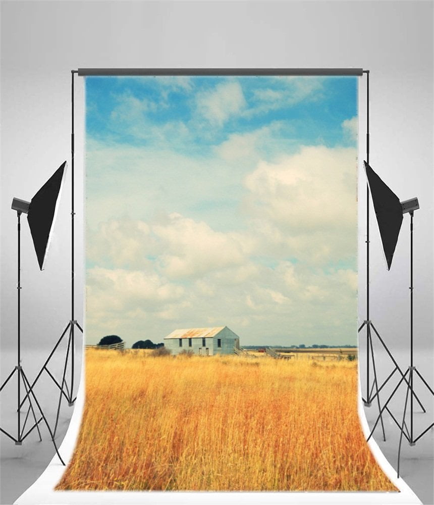 GreenDecor Golden Fields Backdrop 5x7ft Photography Background Harvest ...