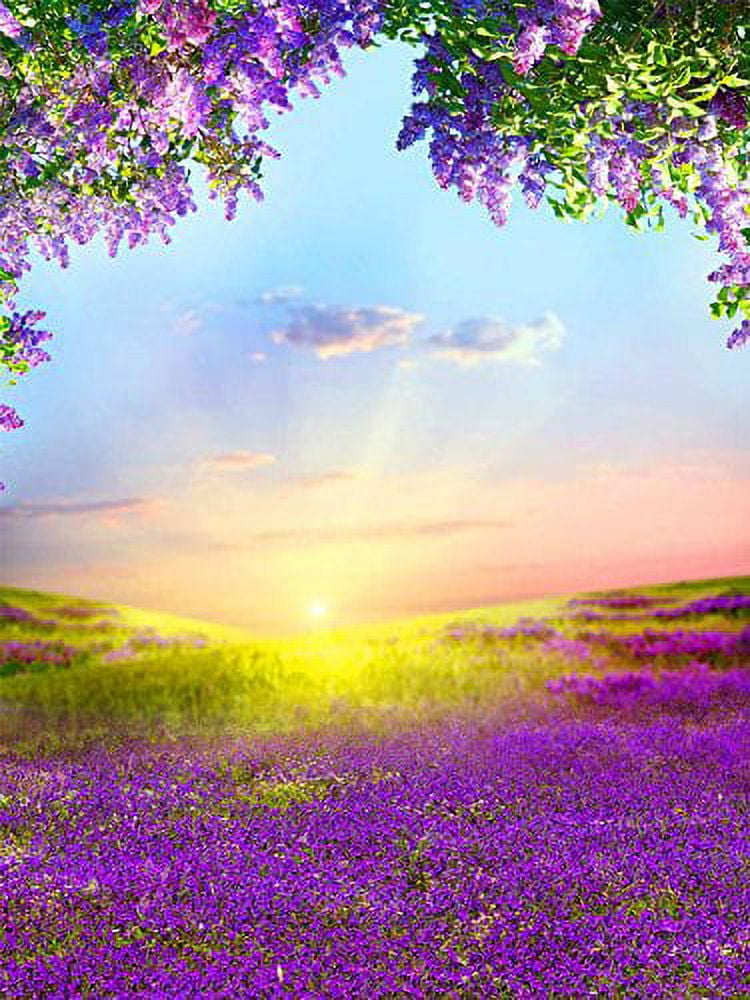 Backgrounds For Photography Studio Hd