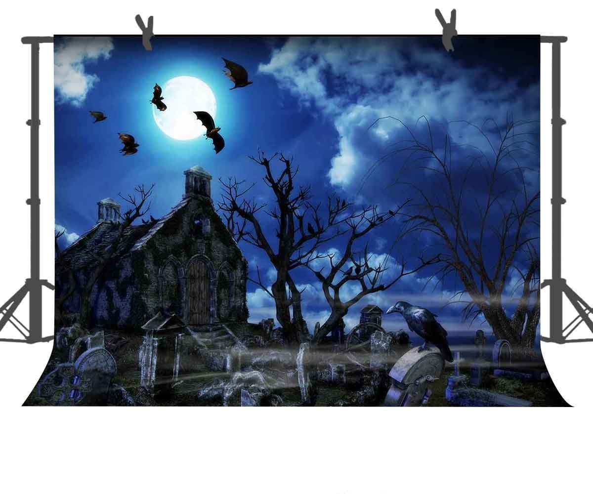 GreenDecor Photo Background 7x5ft Bats and Crows Under Moon Photography ...