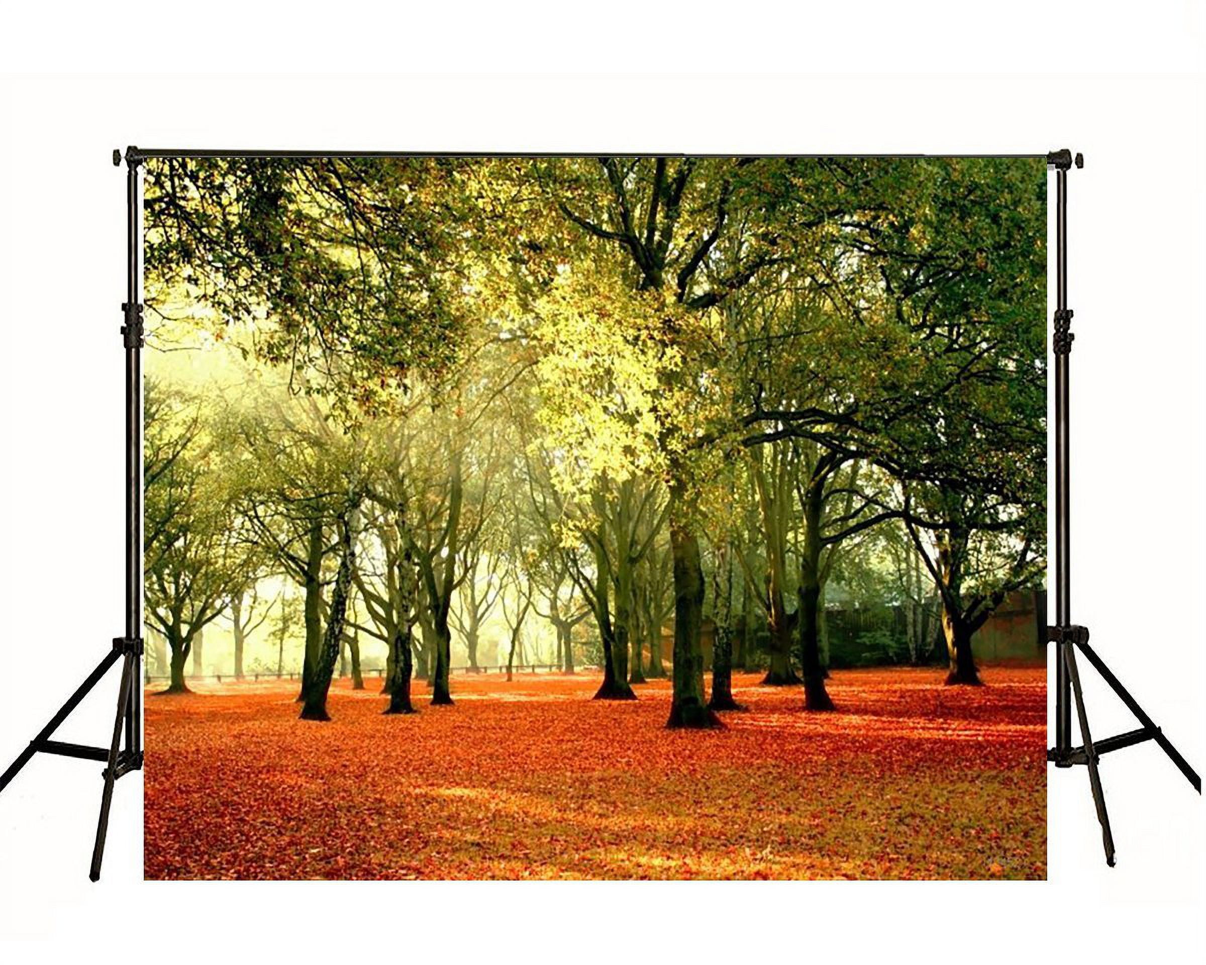 GreenDecor Photography Backdrop Autumn 5x7ft Material Background for ...