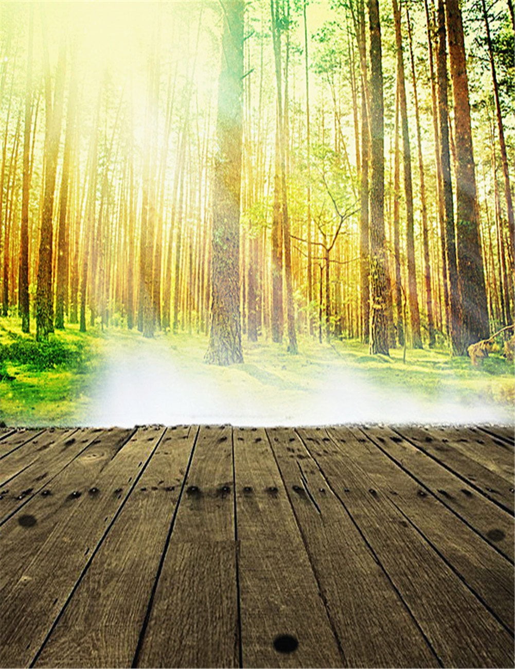 GreenDecor Photography Backdrop Jungle 5x7ft Sunshine Cross the Forest ...