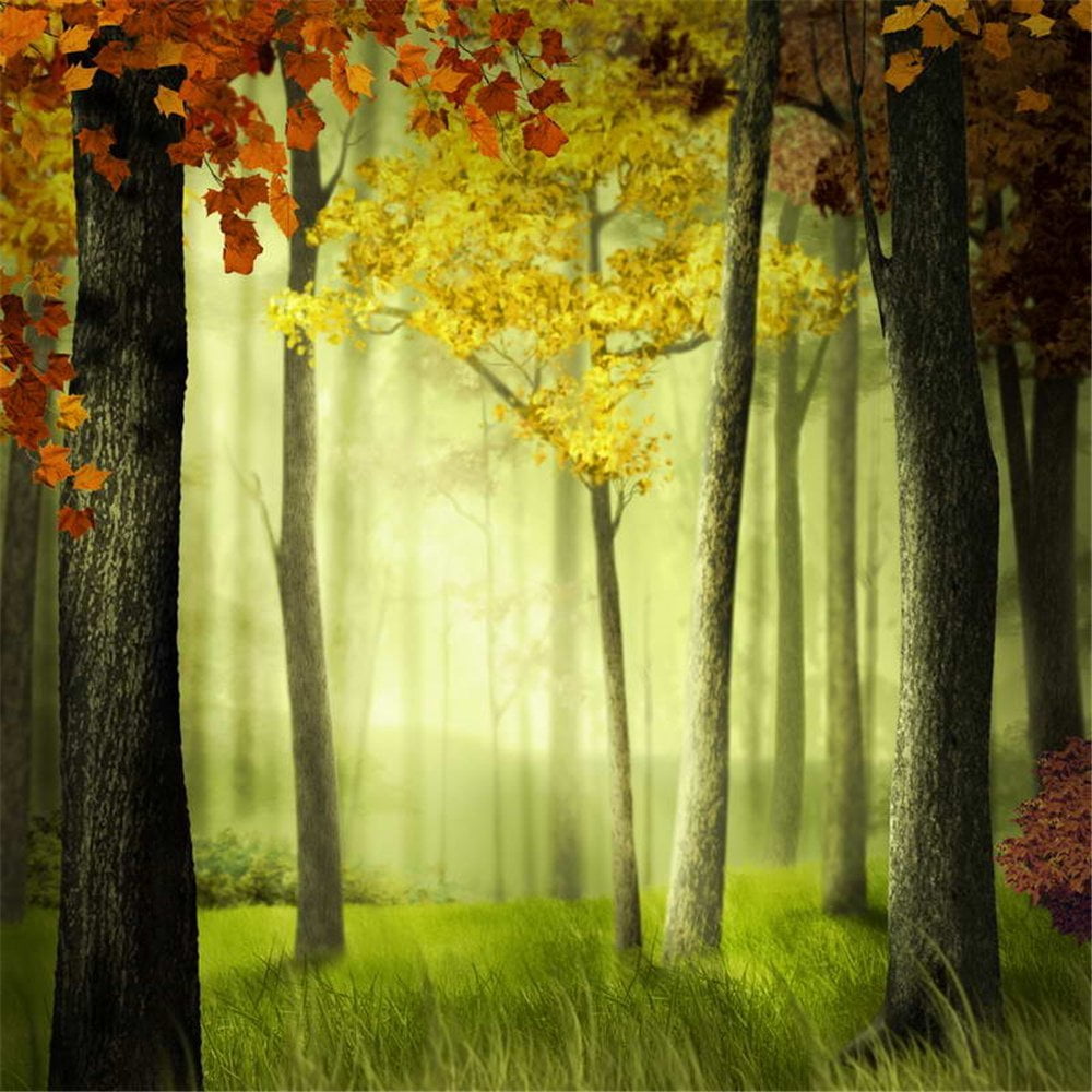 GreenDecor Photography Backdrop Outdoor 5x7ft Misty Fog Forest Red ...