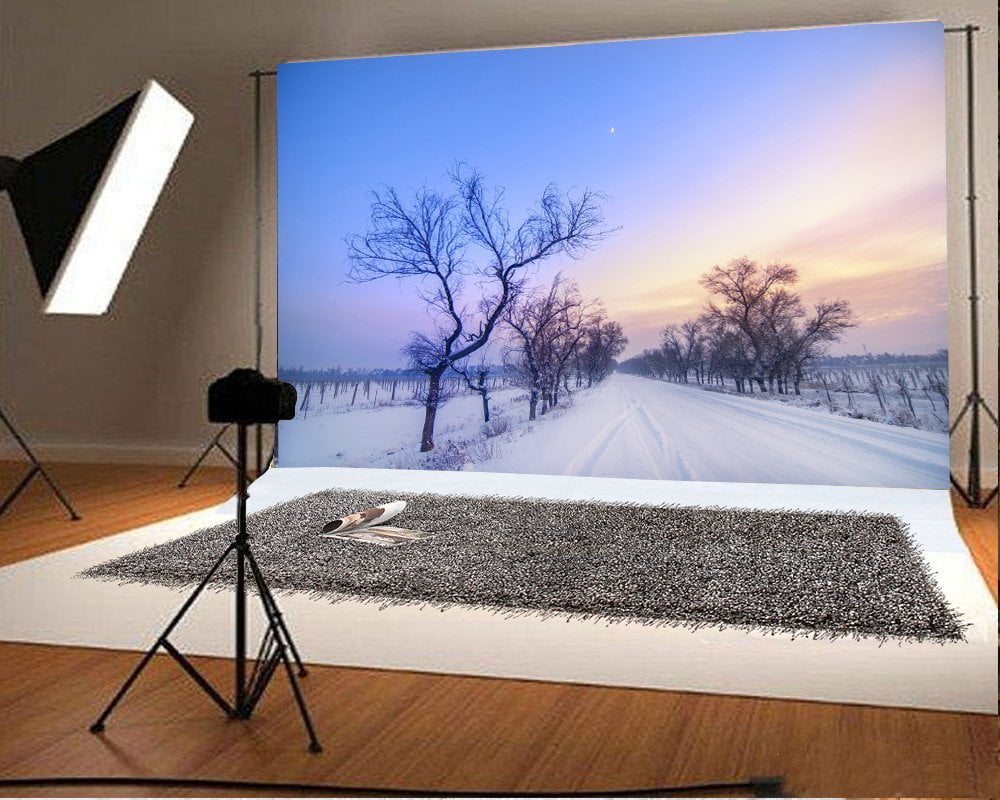GreenDecor Winter Scene Backdrop 7x5ft Snowscape Blue Sky Trees Road ...