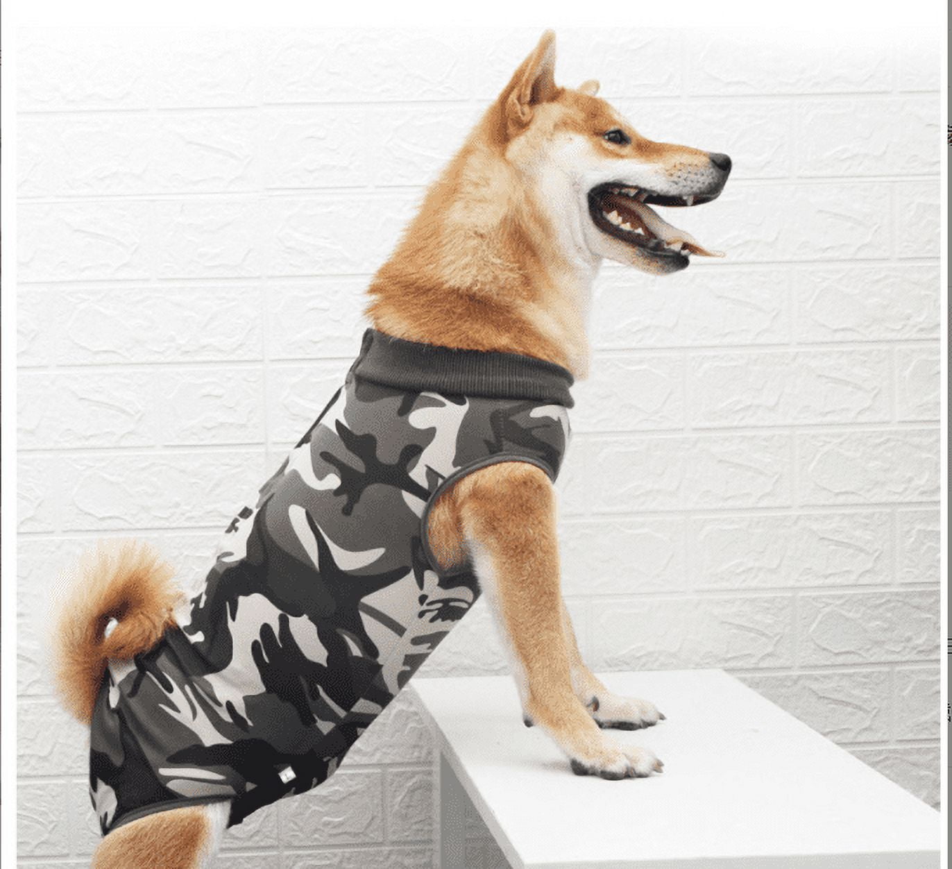 GreenJoy Post-Surgical Medical Body Vest for Dog & Cat, Abdominal Wound ...