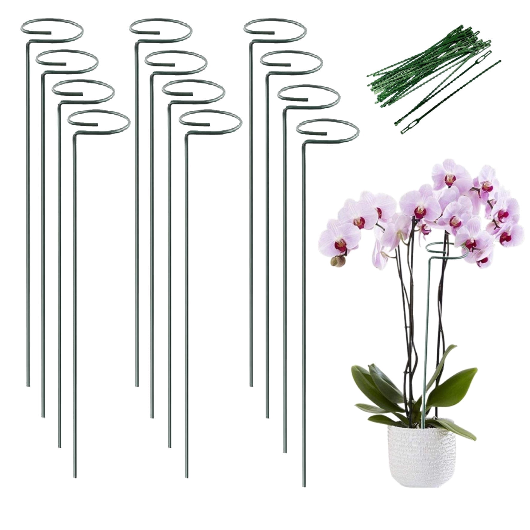 GreenNest 12 pack Plant Support Stakes with 25 Twist Ties, 16 in Plant ...