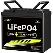 EverStart Platinum BOXED AGM Marine and RV Deep Cycle Battery, Group ...