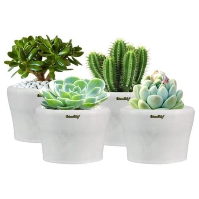 GreenShip 5 in. Indoor Planter Pot - WhiteStone, Pack of 4 - Walmart.com