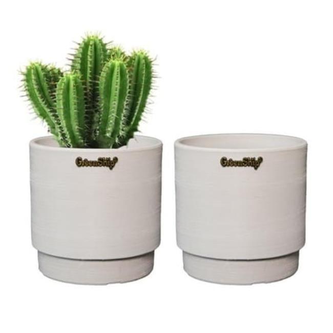 GreenShip S-16G12WS-2 5 in. Indoor Planter Pot - WhiteStone, Pack of 4 ...