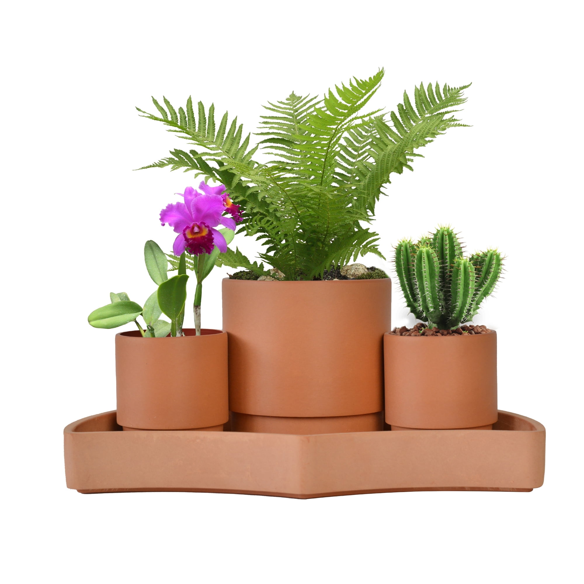 GreenShip Self-Watering Plant Pot Set of 3 with Saucer, Round Plant ...