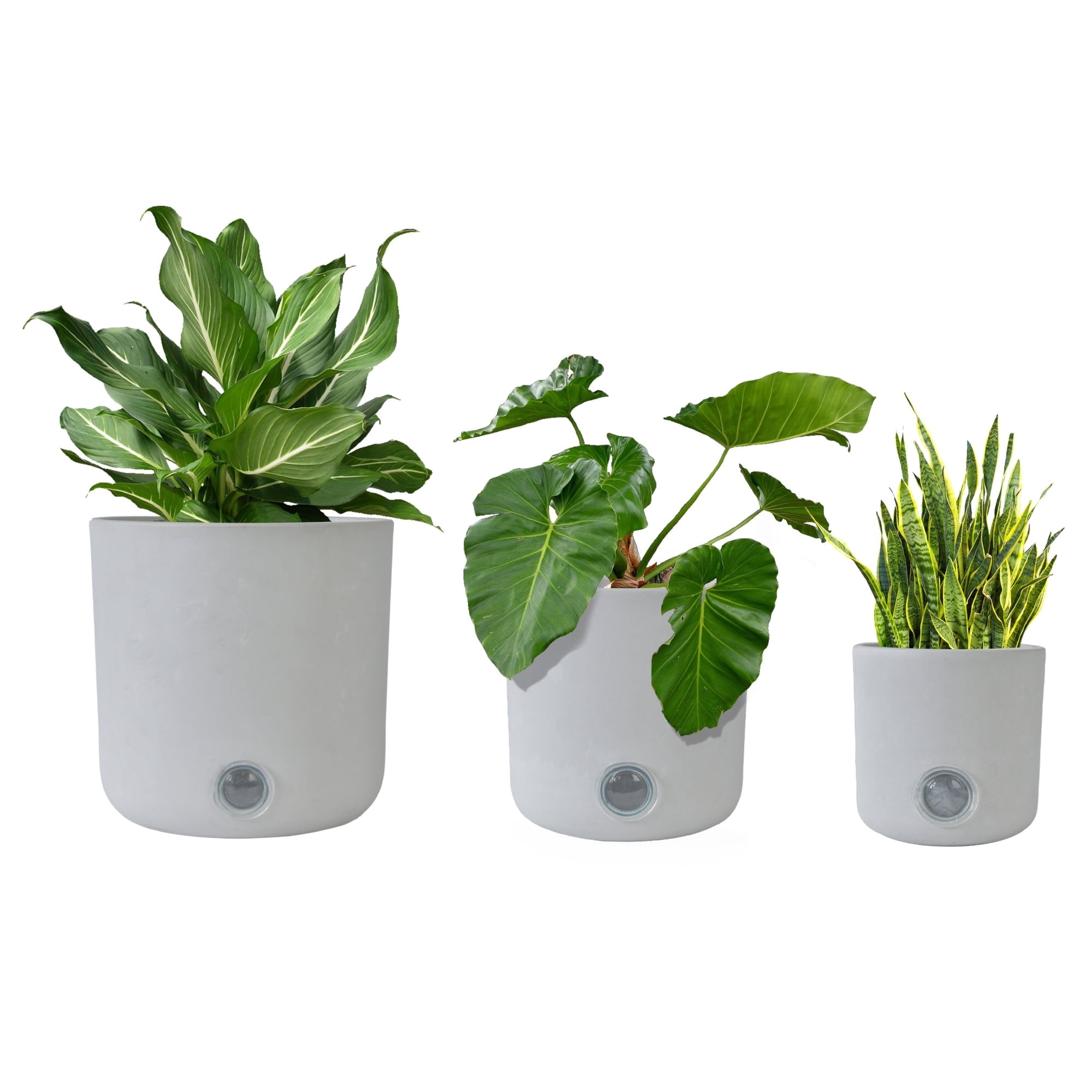 GreenShip Self-Watering Pots for Indoor Plants, 6 inch 8 inch 10 inch ...