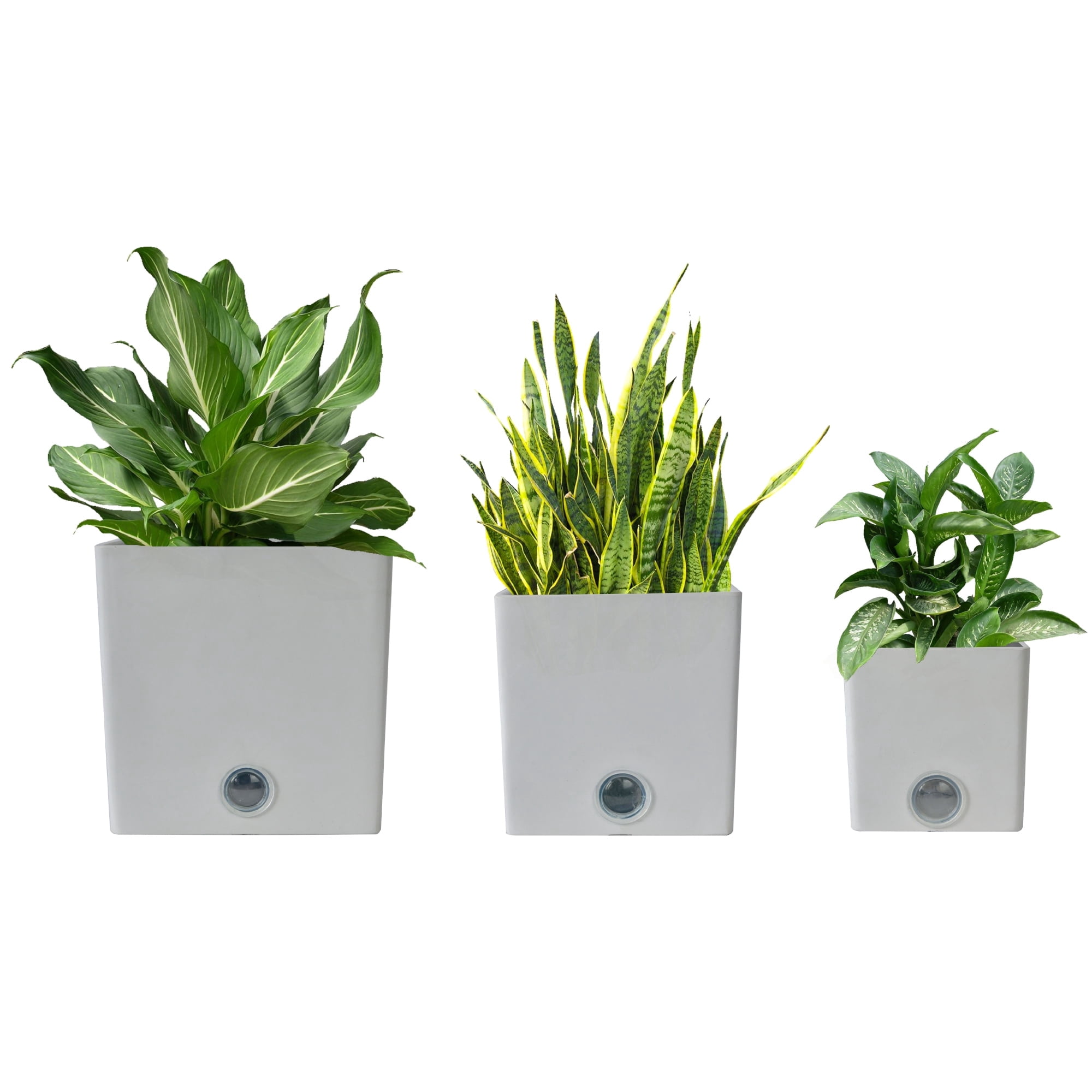 GreenShip Self-Watering Square Plant Pots for Indoor Plants, 6 inch 8 ...
