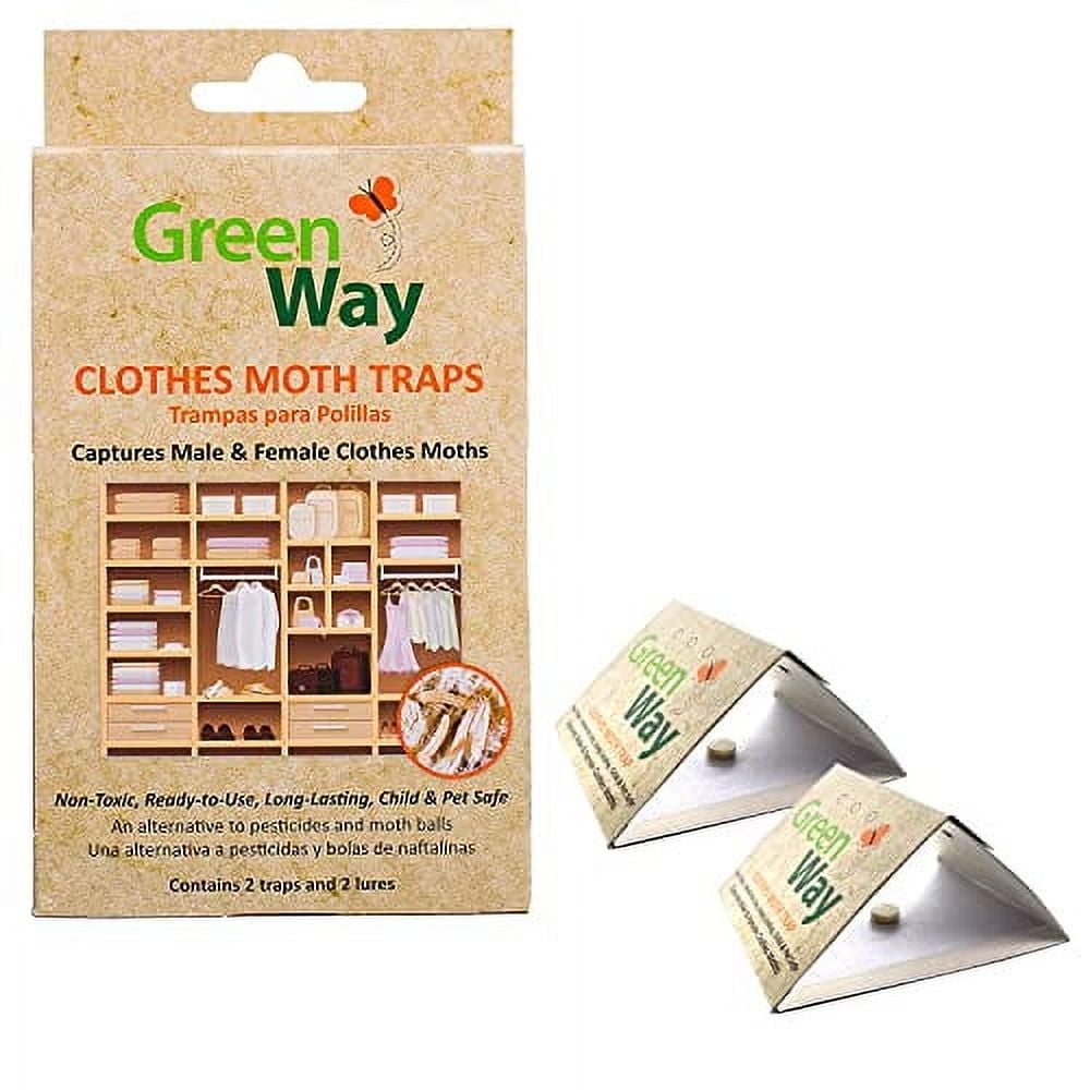 GreenWay Clothes Moth Trap - Walmart.com