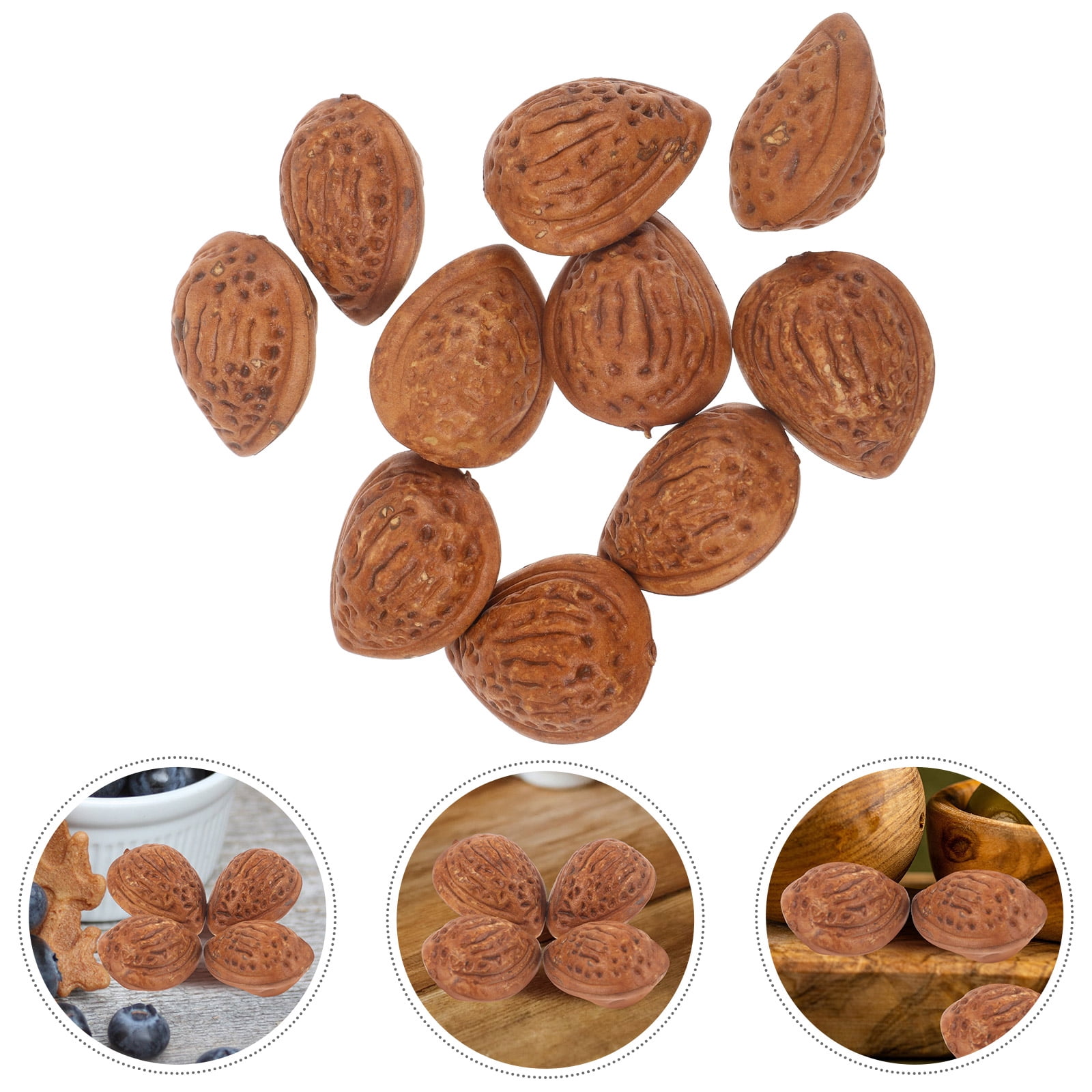 Greenadscape 10Pcs Almonds Model Display Almonds Models For ...