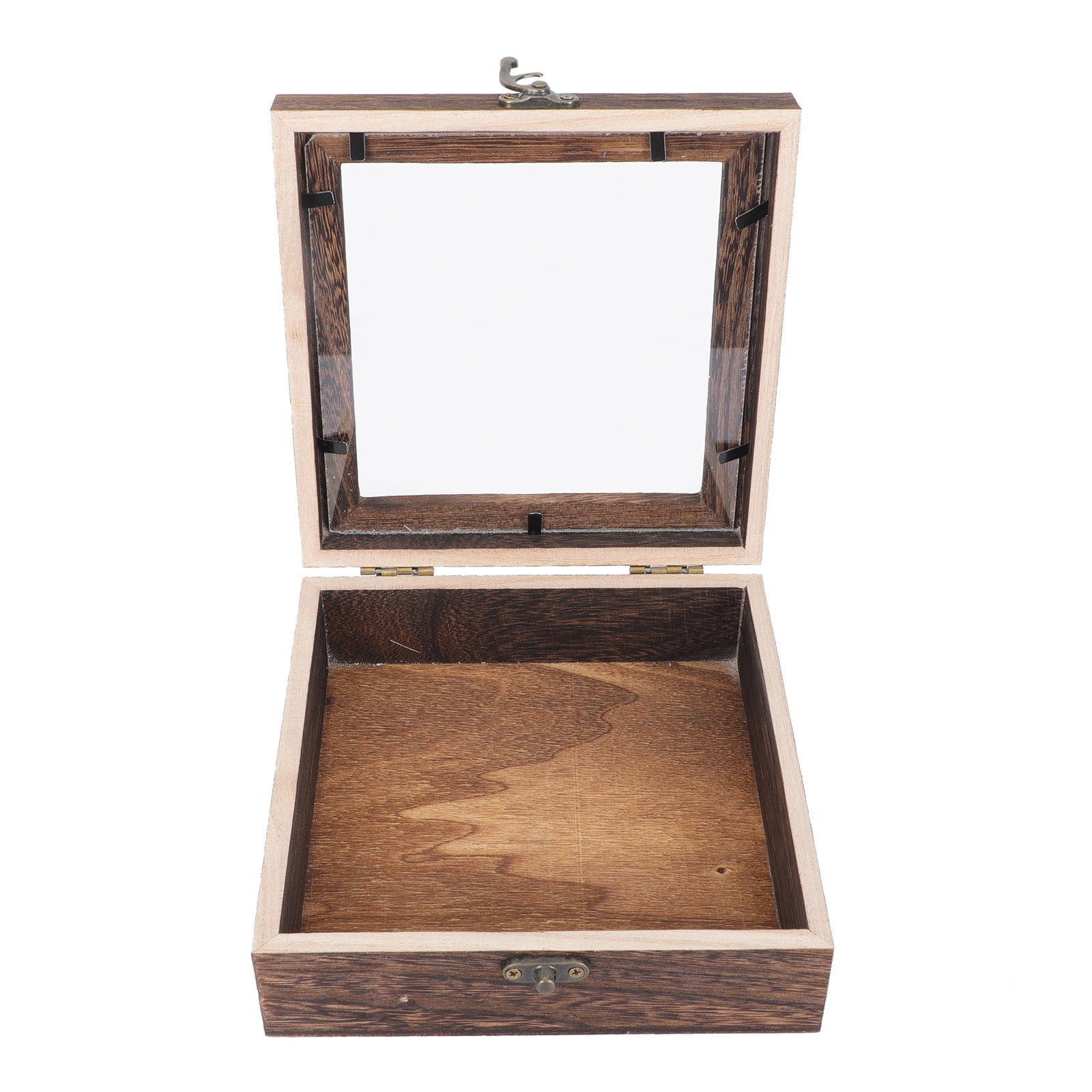 Greenadscape 1Pcs Insect Specimen Display Box Insect Display Carbon ...