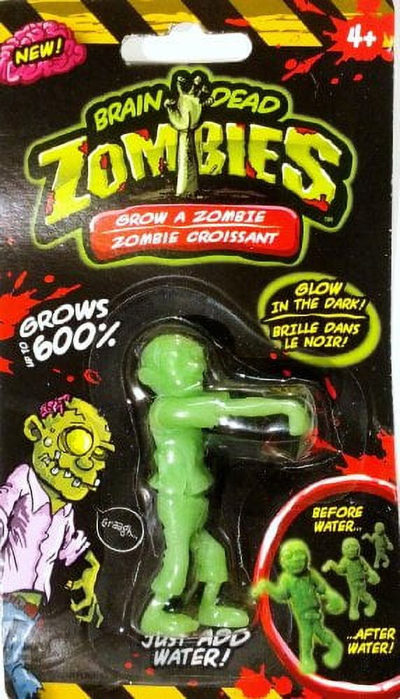 Greenbrier International Brain Dead Zombies Grow a Zombie - Walmart.com