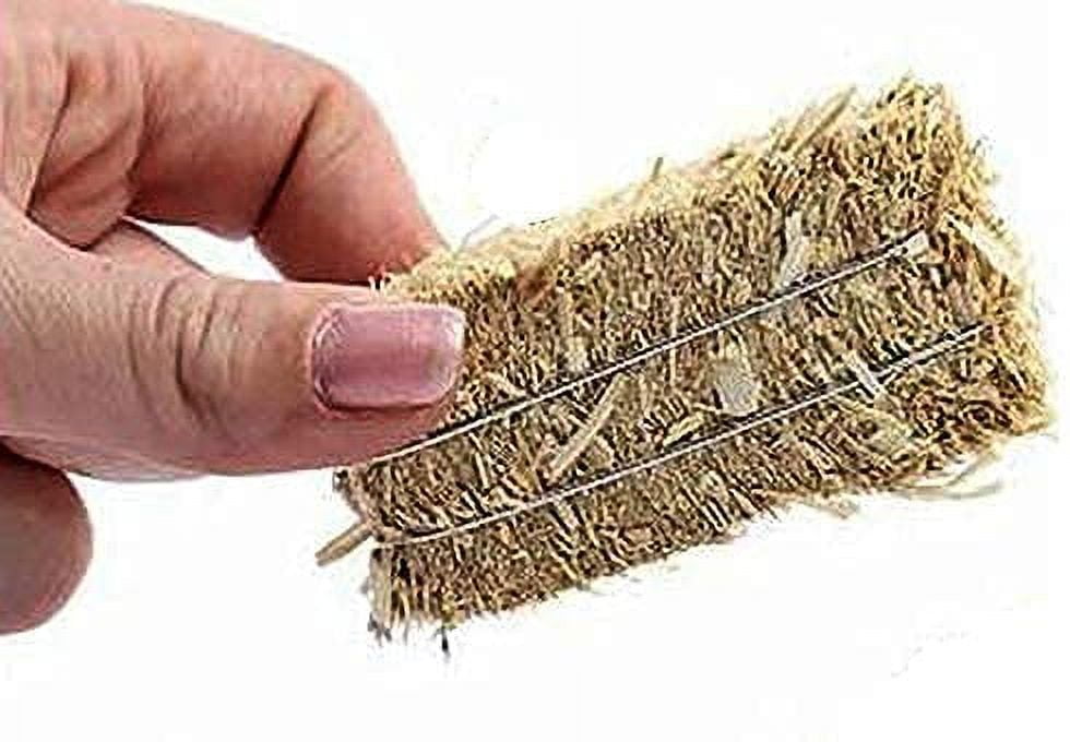 Greenbrier Mini Hay Bales for Autumn Harvest Craft, Decoration and ...