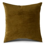 Greendale Home Fashions 24-in Juniper Velvet Throw Pillow Cover - Walmart.com