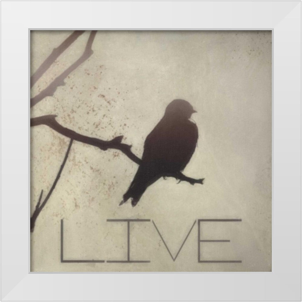 Greene, Taylor 12x12 White Modern Wood Framed Museum Art Print Titled ...