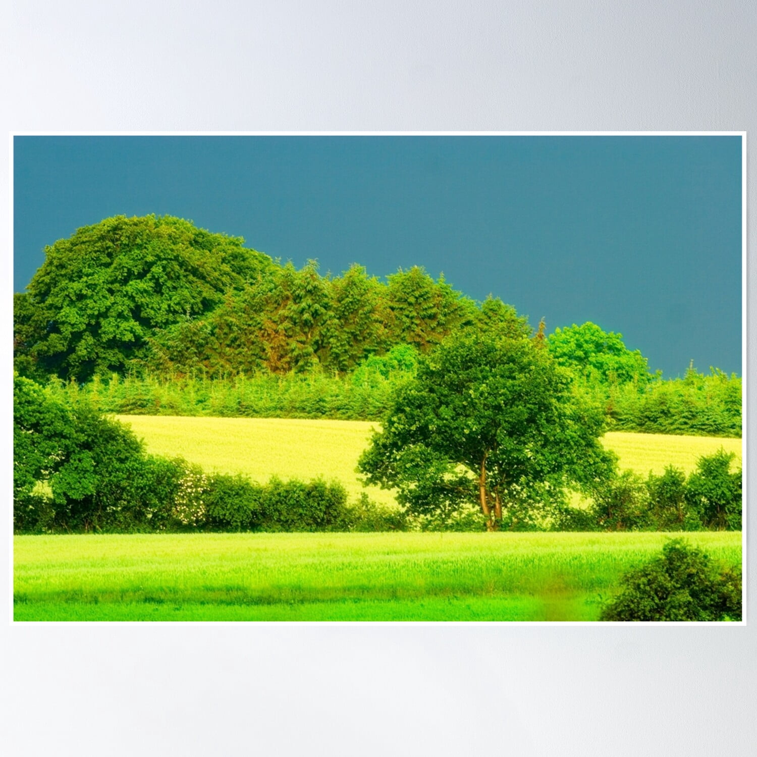 Greener Than Green Poster Wall Art, Modern Wall Decor, 24x36 UNFRAMED ...