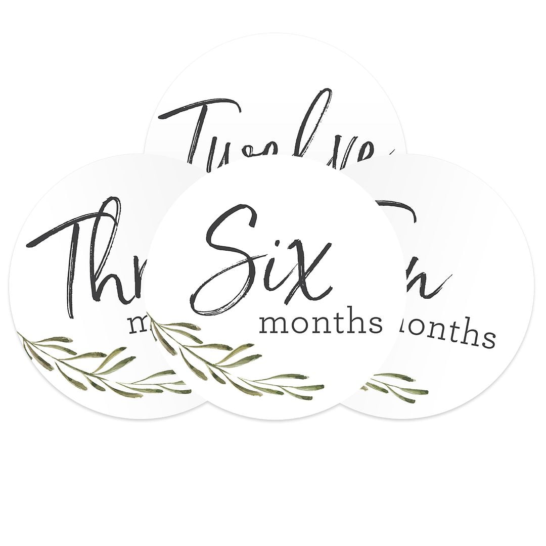 Greenery Baby Milestone Signs / Floral Monthly Milestones / Botanical ...