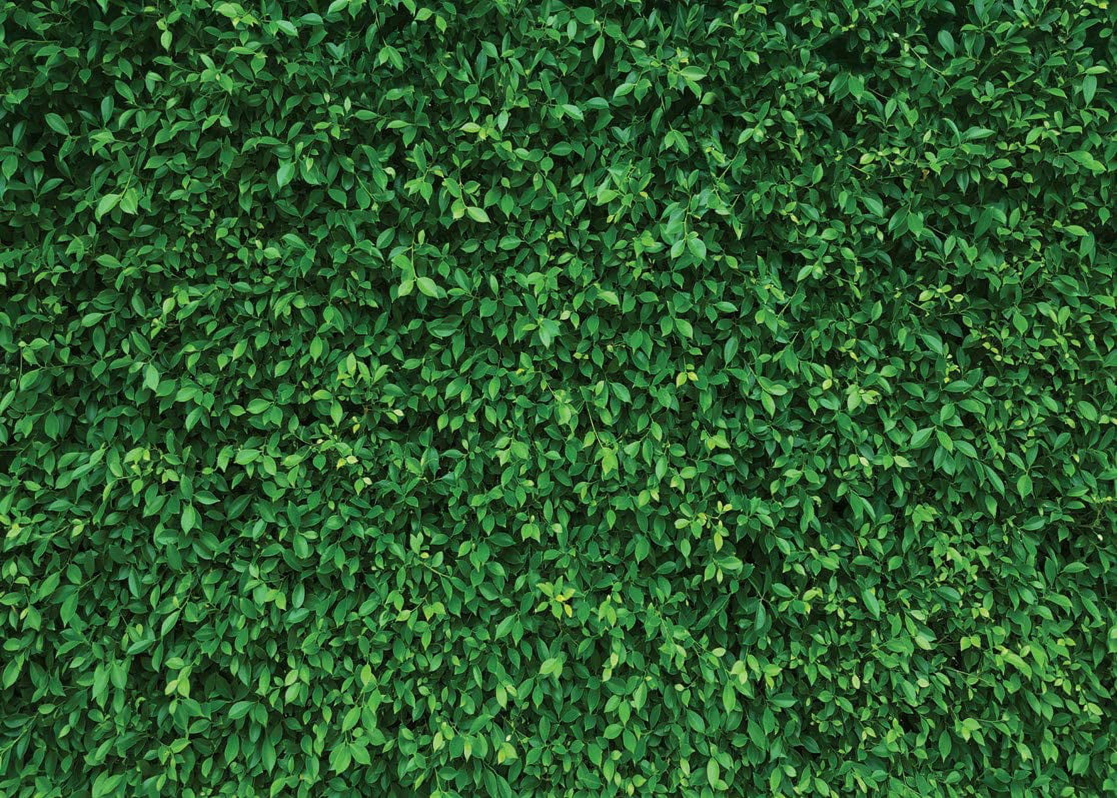 Greenery Photography Backdrops Mmicrofiber Nature Backdrop Birthday ...