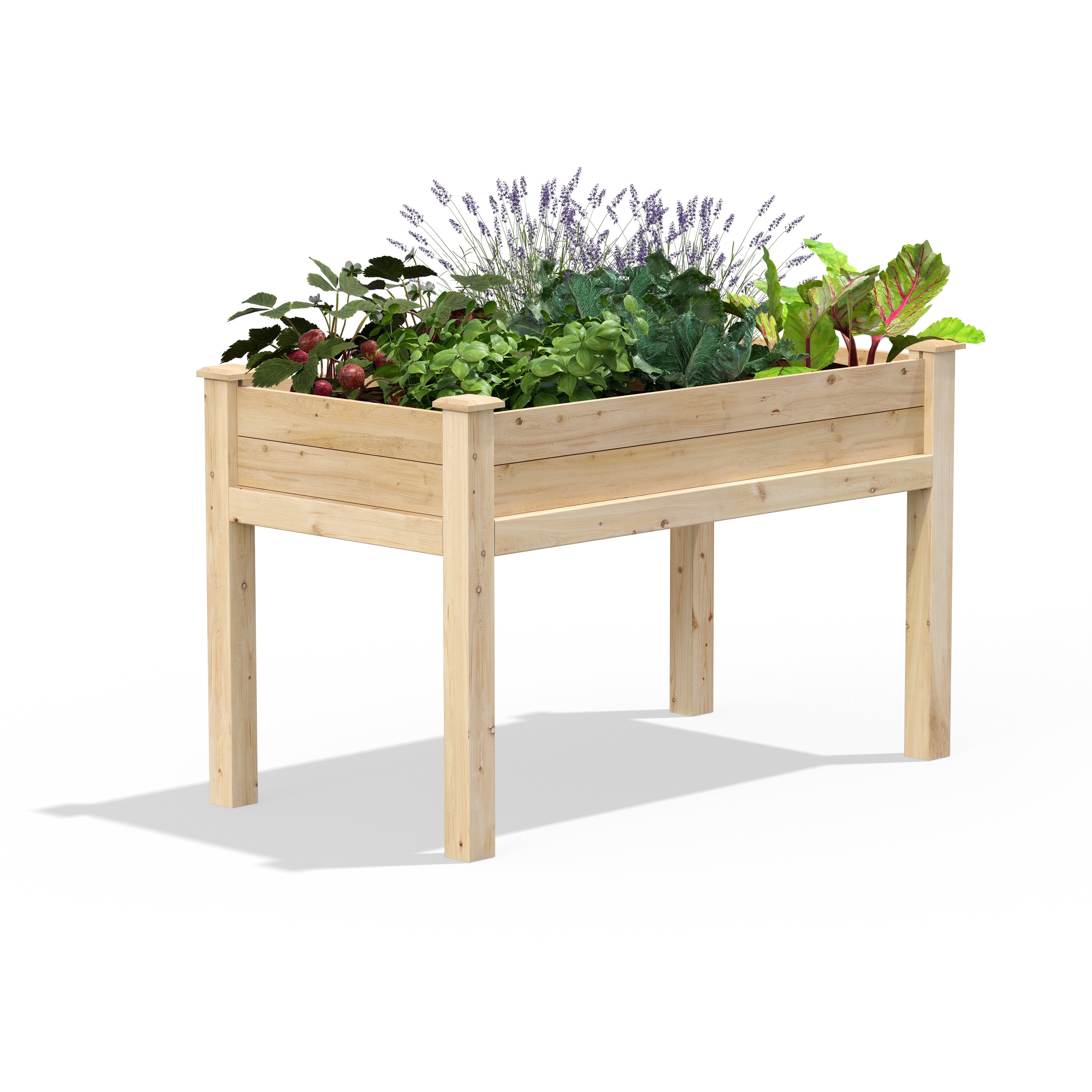 Greenes Fence 48" x 24" x 31" Original Cedar Raised Garden Bed ...