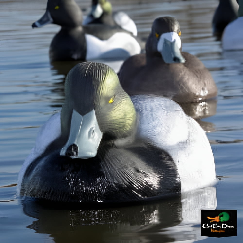 GHG Duck Hunting Decoy Systems, Hunter Series Life Size Bluebill Decoys ...
