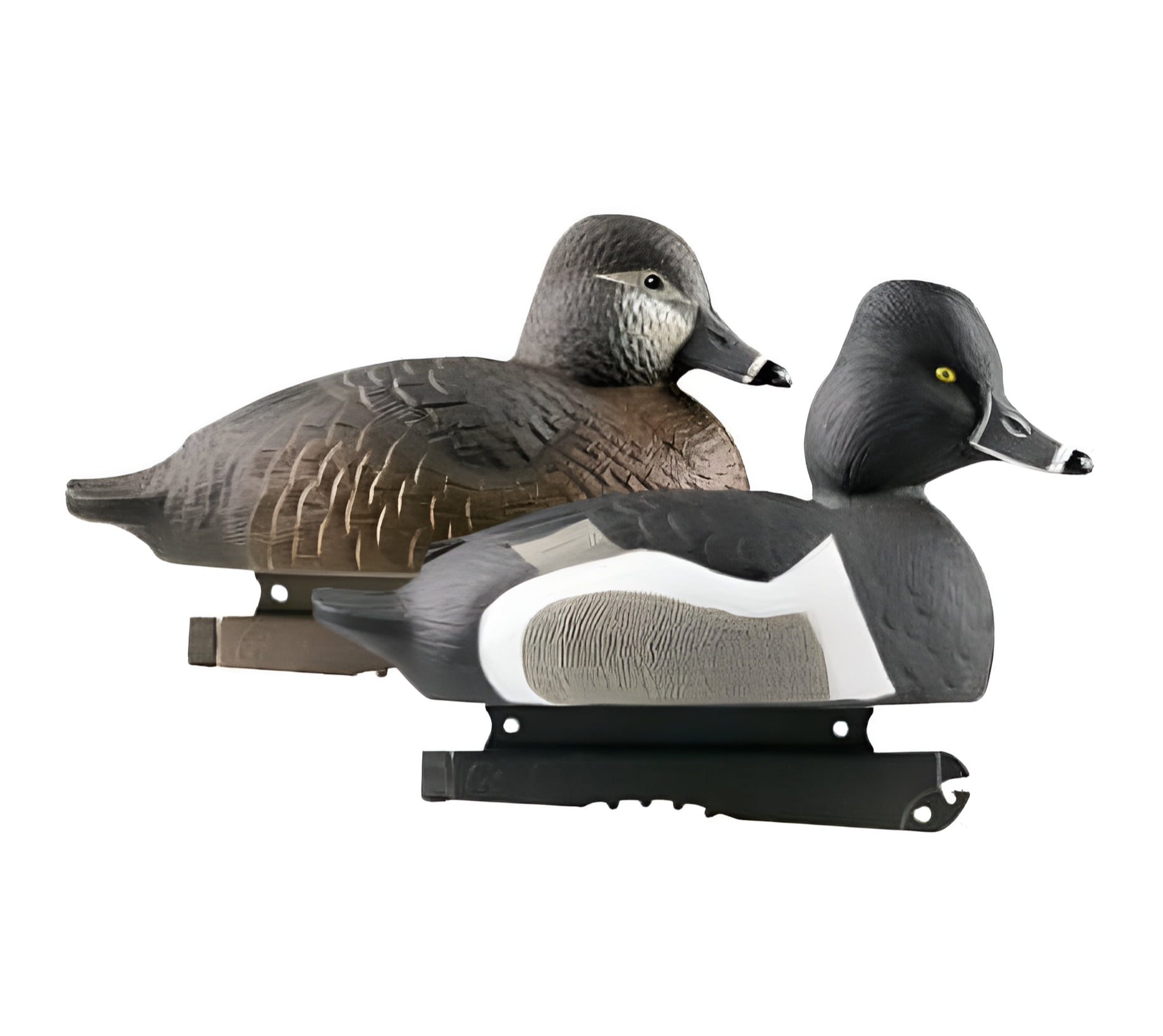 Greenhead Gear Hunter Series Full Body Ring Necked Duck Decoys - 6 Pack ...