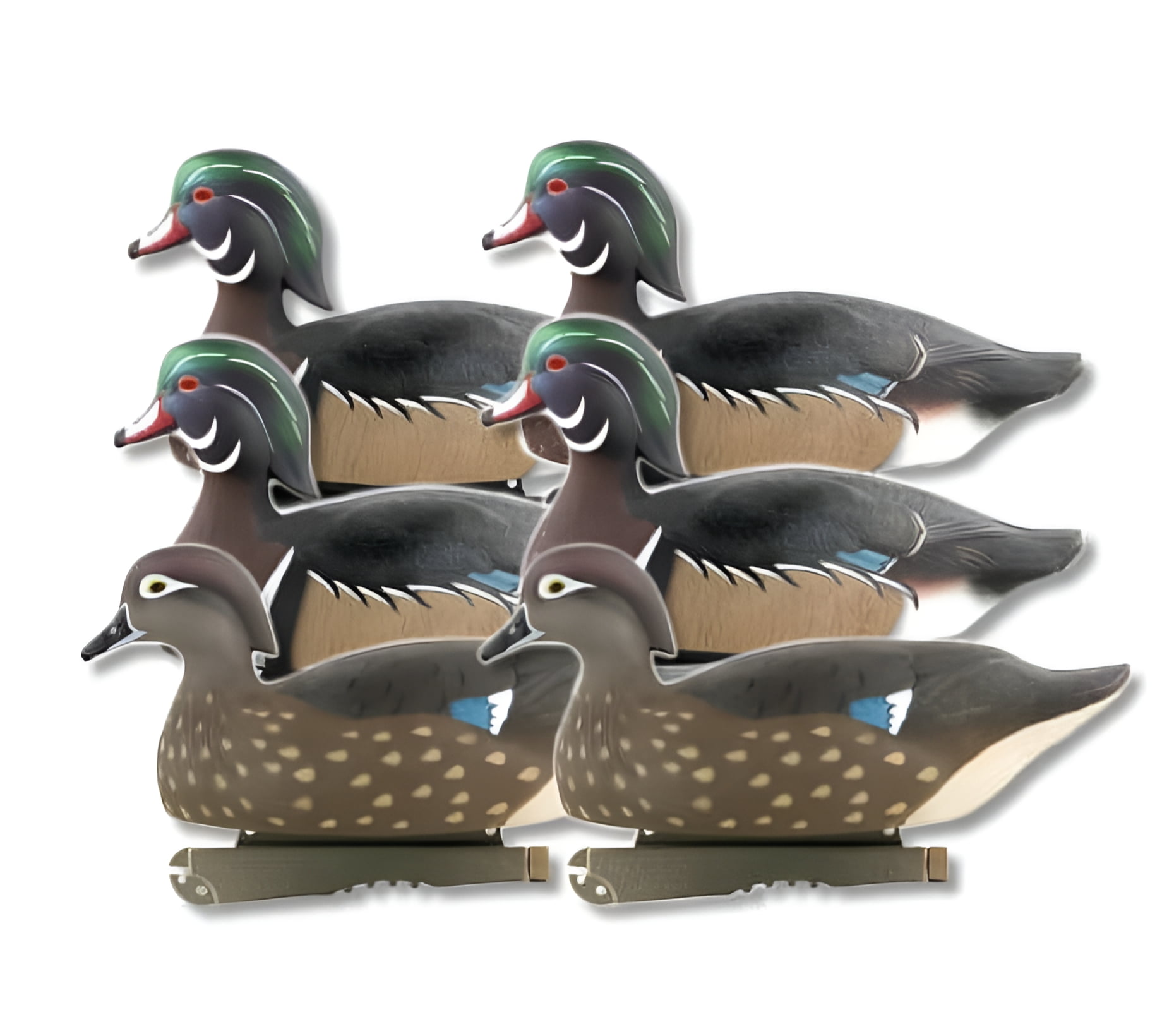 Greenhead Gear Life-Size Duck Decoy,Wood Ducks,1/2 Dozen - Walmart.com