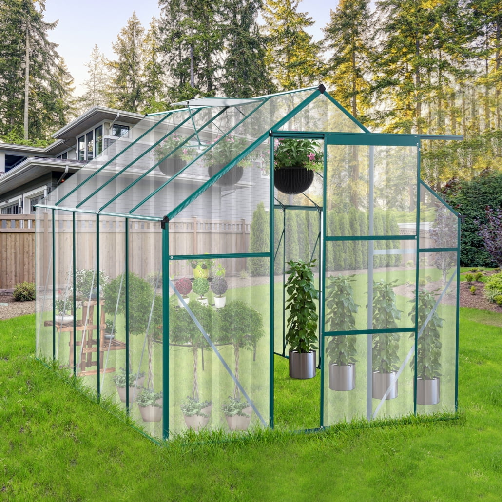 Greenhouse, 6 x 10 FT Greenhouses for Outdoors, Walk in Plant ...
