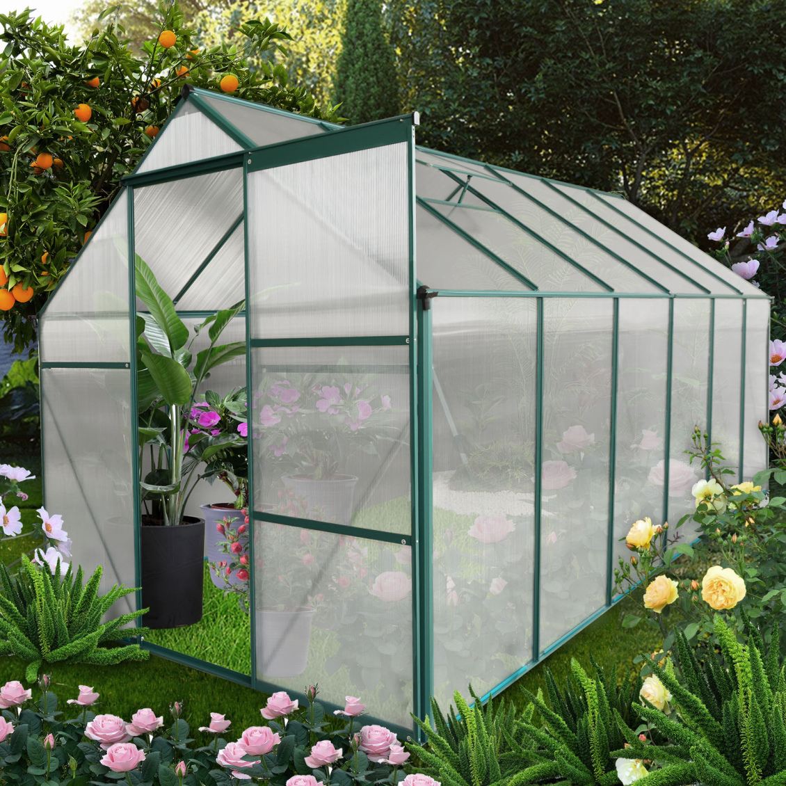 Greenhouse, 6 x 12 FT Greenhouses for Outdoors, Walk in Plant ...