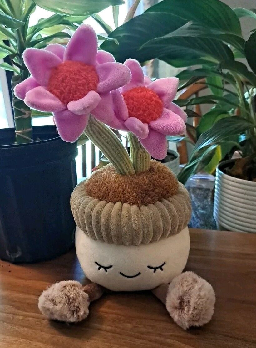Greenhouse by Russ "Plant Based" 12" Plush Very Collectable - Echinacea ...