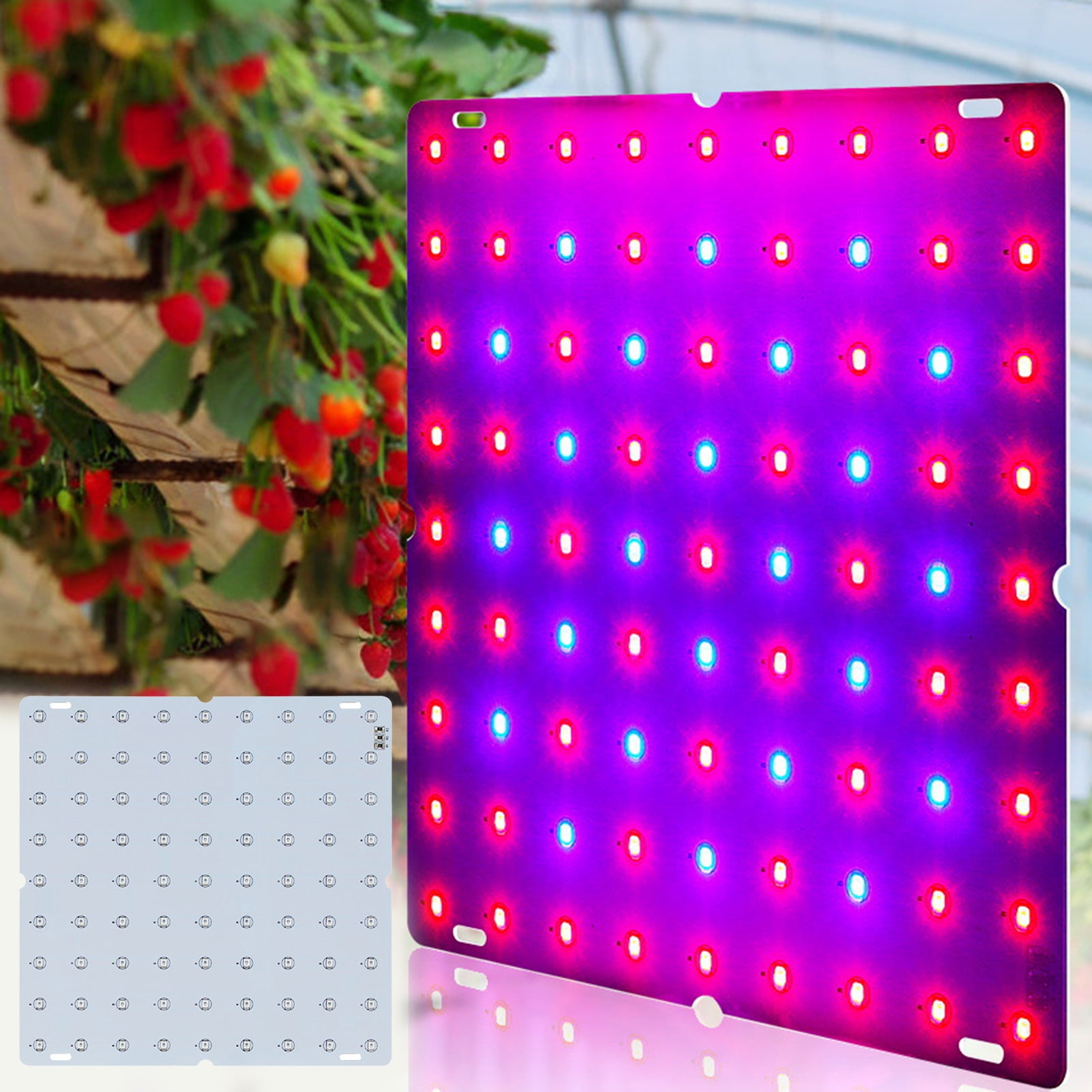 Greenhouses Lamp Full Spectrum Rapid Heat Dissipation Easy Installation ...