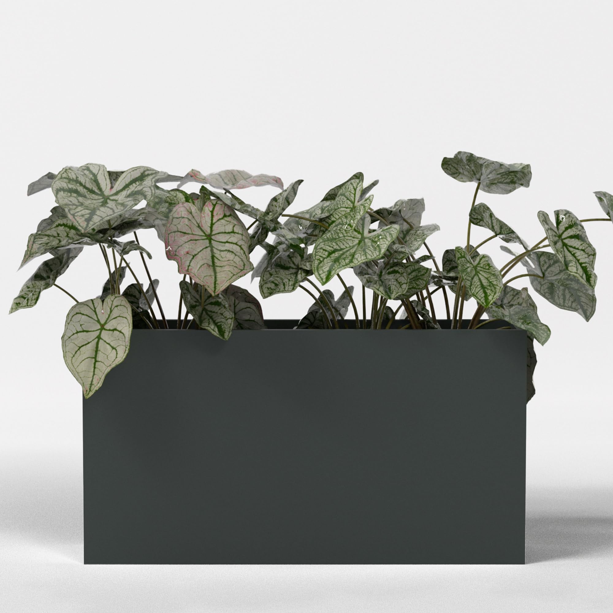 Greenline Fiberglass Alice Rectangle Planter - Indoor/Outdoor Extra ...