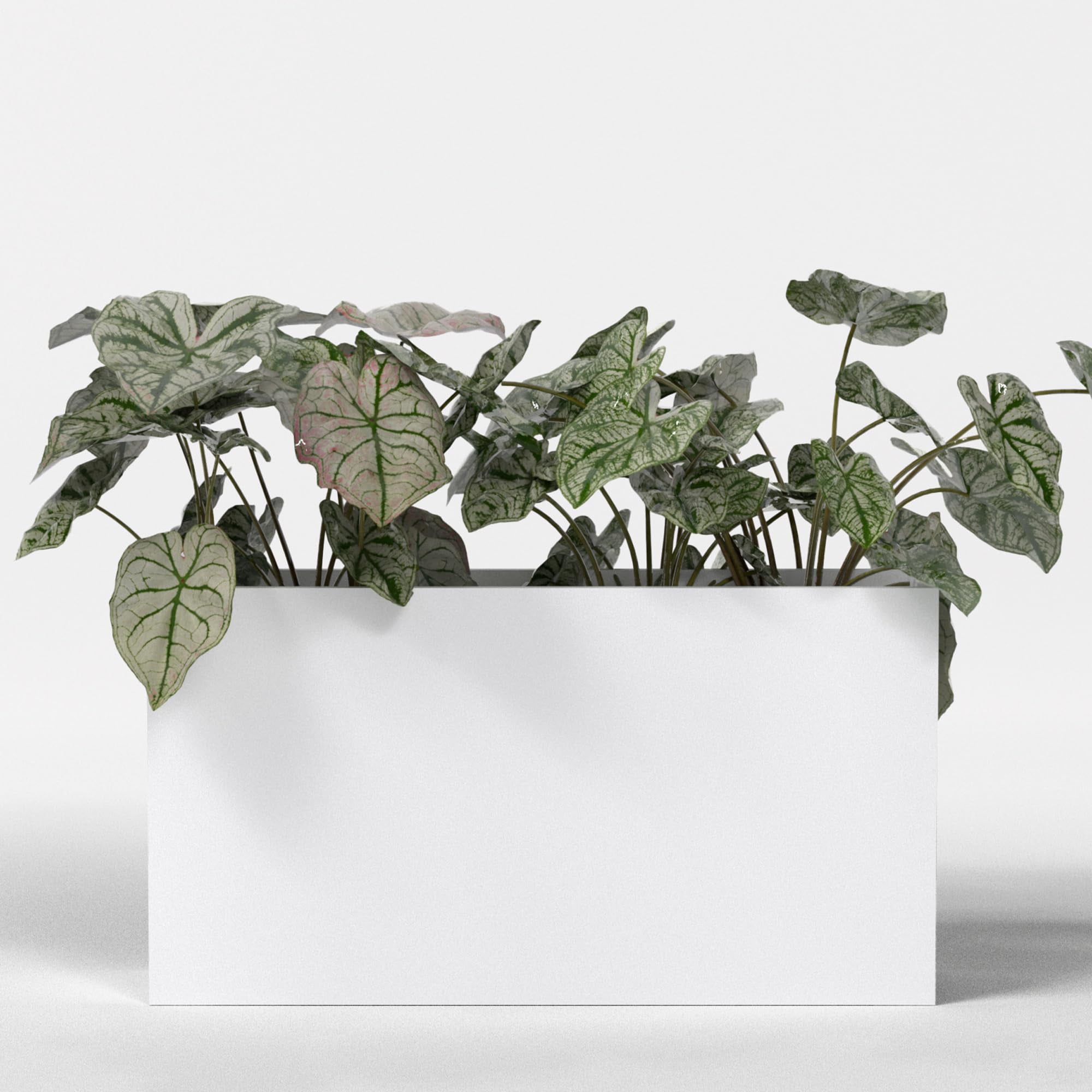 Greenline Leo Rectangle Planter - Indoor/Outdoor Extra Large Fiberglass ...