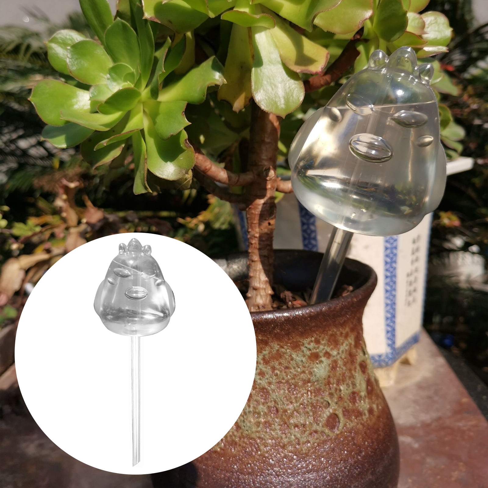 Greenred 2Pcs Self-watering Globes Large Capacity Clear Transparent ...