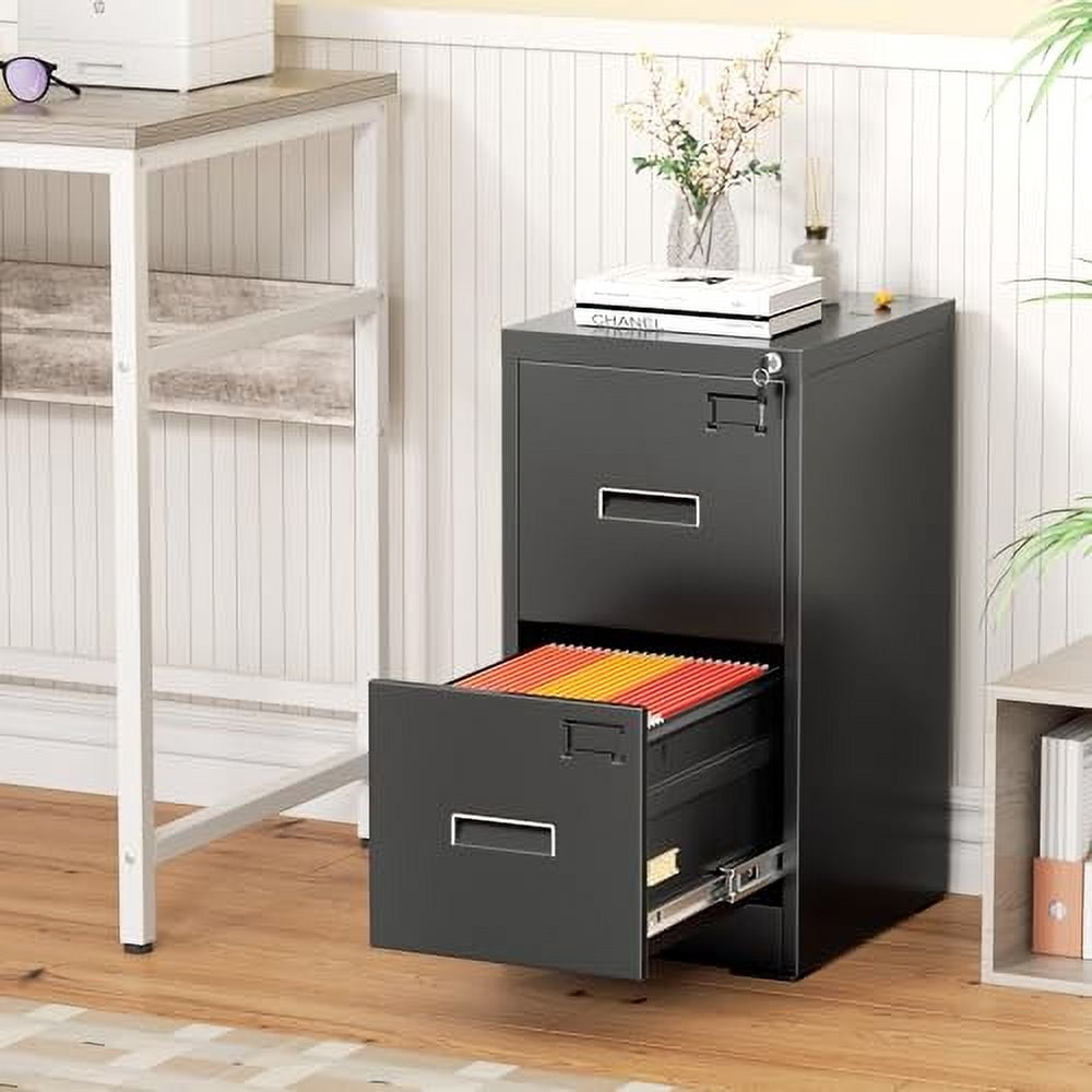 Greenvelly 2 Drawer File Cabinet with Lock, Lockable Vertical File ...