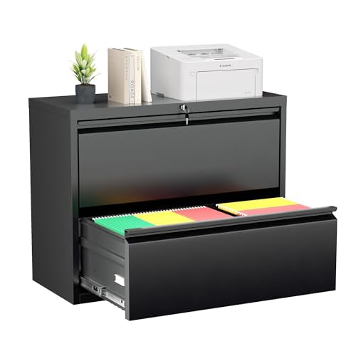 Greenvelly 2 Drawer Filing Cabinet, Black Metal Lateral File Cabinet ...