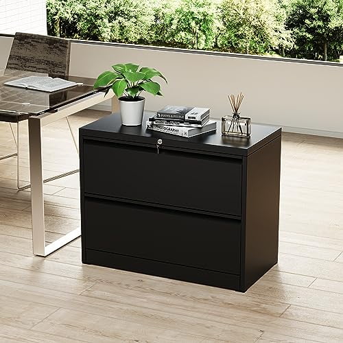 Greenvelly File Cabinet 2 Drawer, Black Lateral Filing Cabinet with ...
