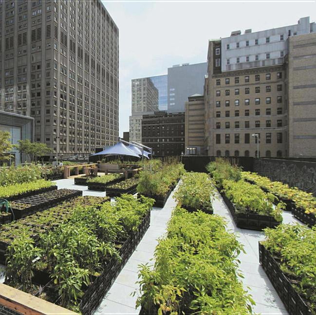 Greenwards : The New Delight in Urban Nature (Hardcover) - Walmart.com