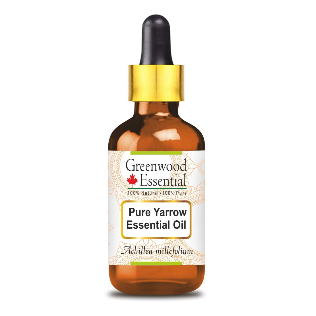 Greenwood Essential Pure Yarrow Essential Oil (Achillea Millefolium ...