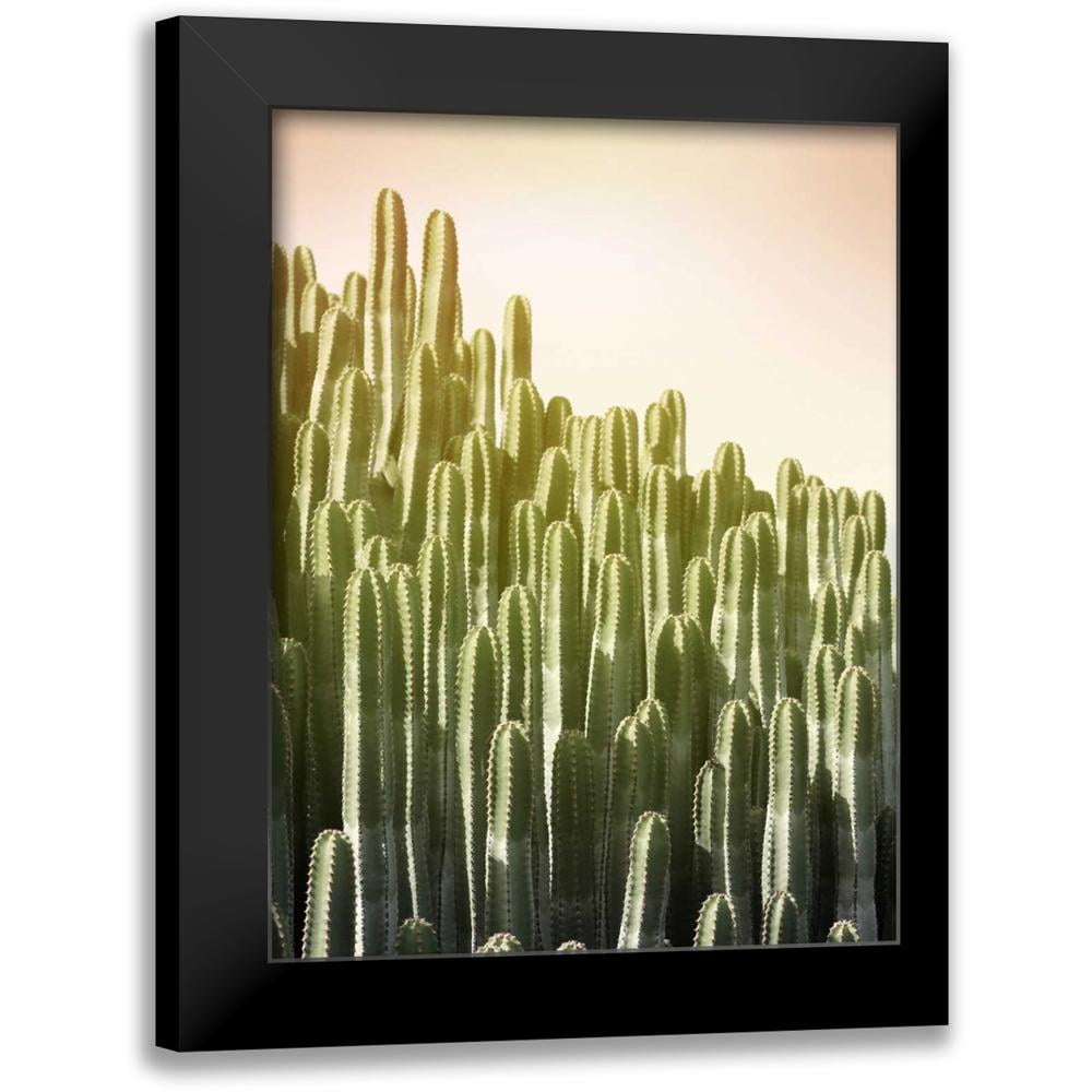 Greer, Lexie 12x14 Black Modern Framed Museum Art Print Titled - Pink ...