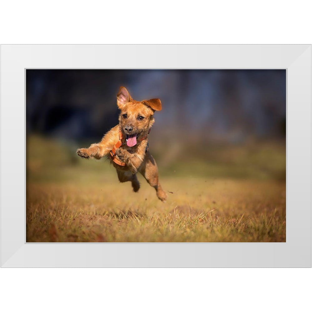 Gregor 18x13 White Modern Wood Framed Museum Art Print Titled - Happy ...