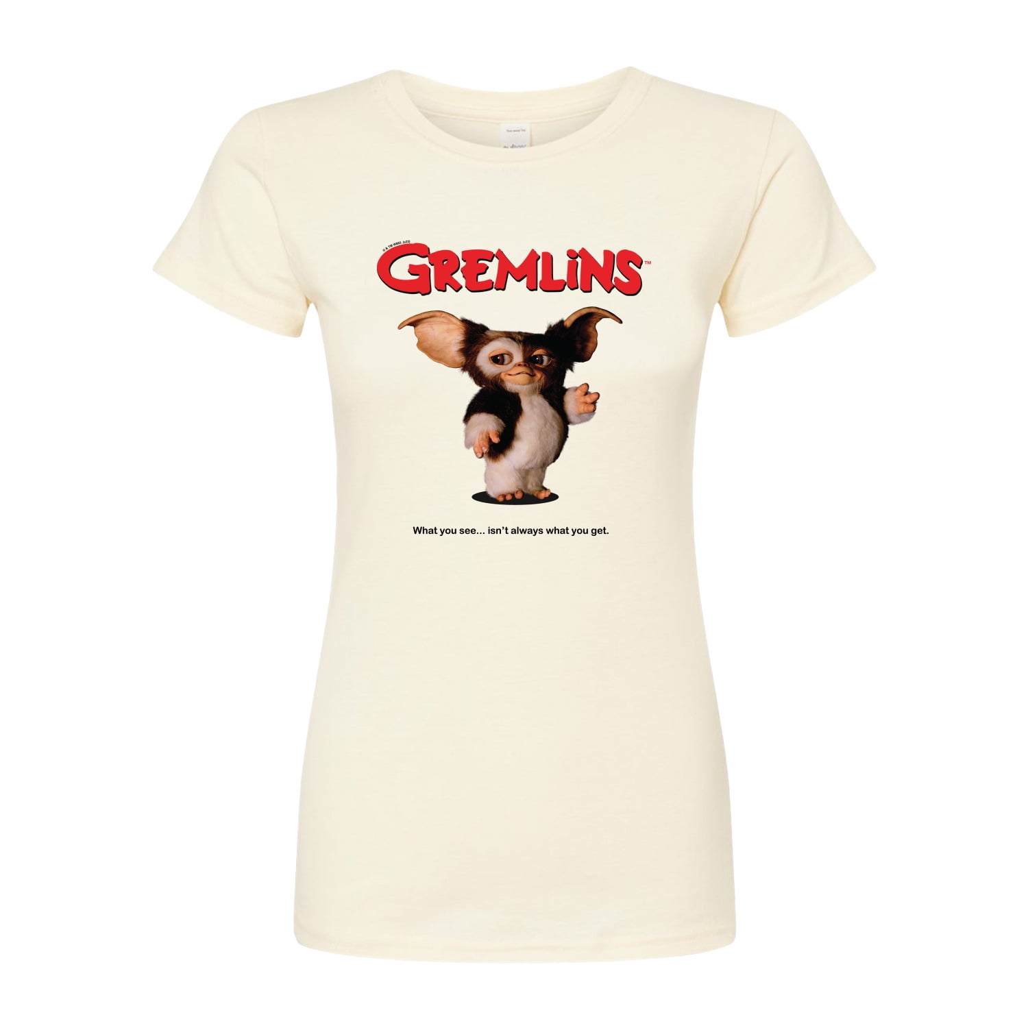 Gremlins - Original Movie Poster - What You See Isn’t What You Get ...