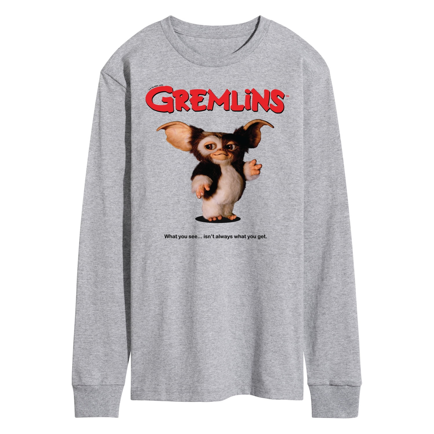 Gremlins - Original Movie Poster - What You See Isn’t What You Get ...