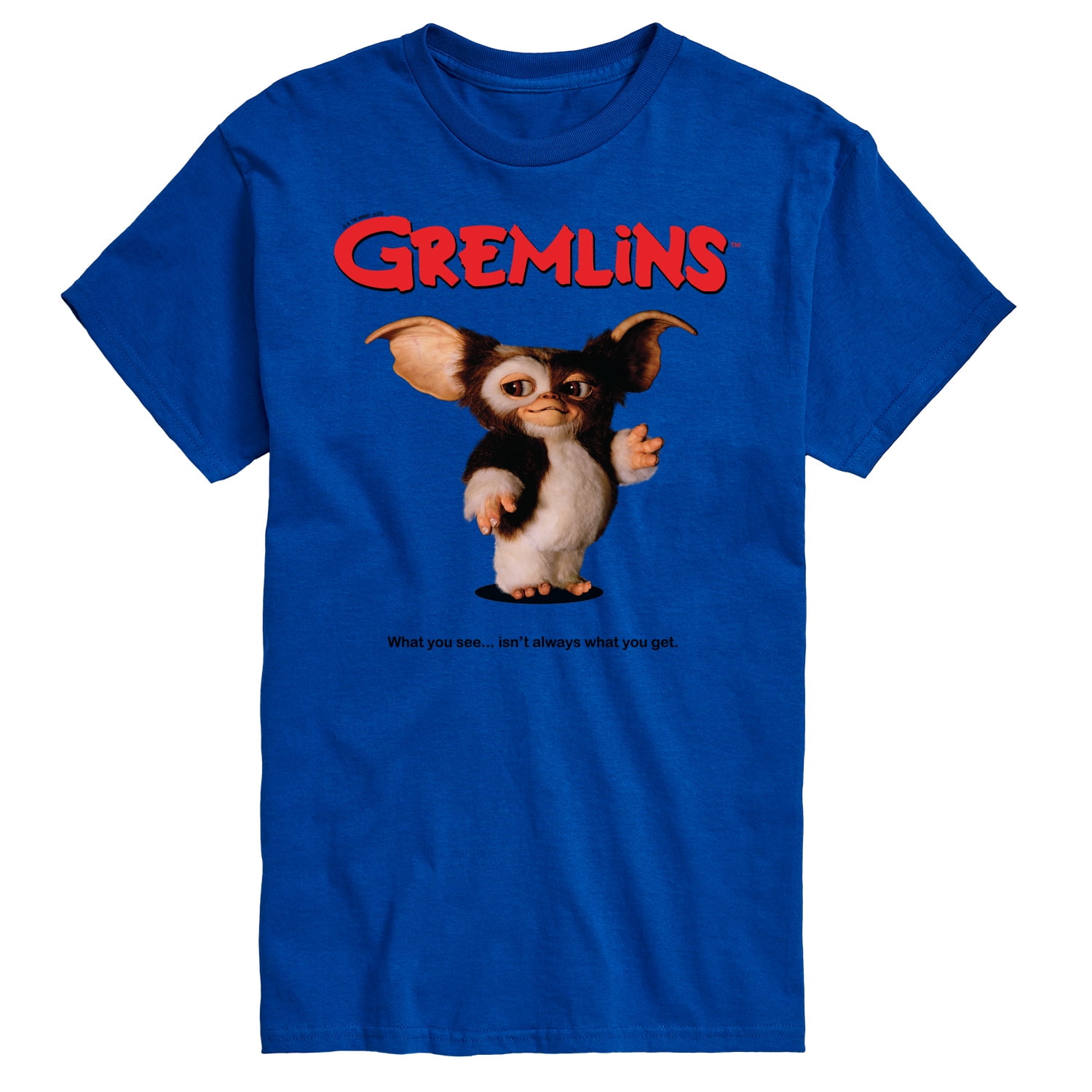 Gremlins - Original Movie Poster - What You See Isn’t What You Get ...