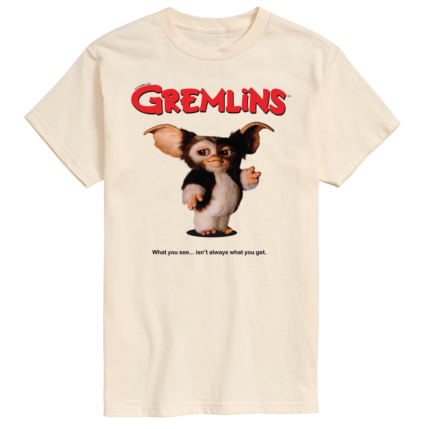 Gremlins - Original Movie Poster - What You See Isn’t What You Get ...