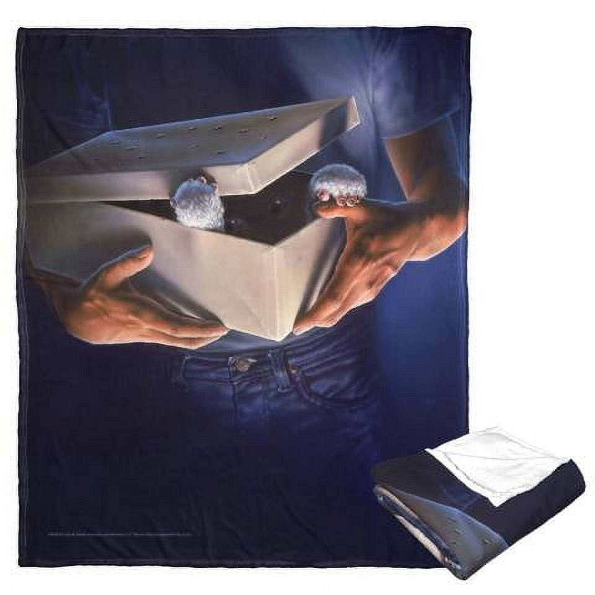 Gremlins Whats in the Box Warner Bros Kids Silk Touch Throw Blanket, 50 ...