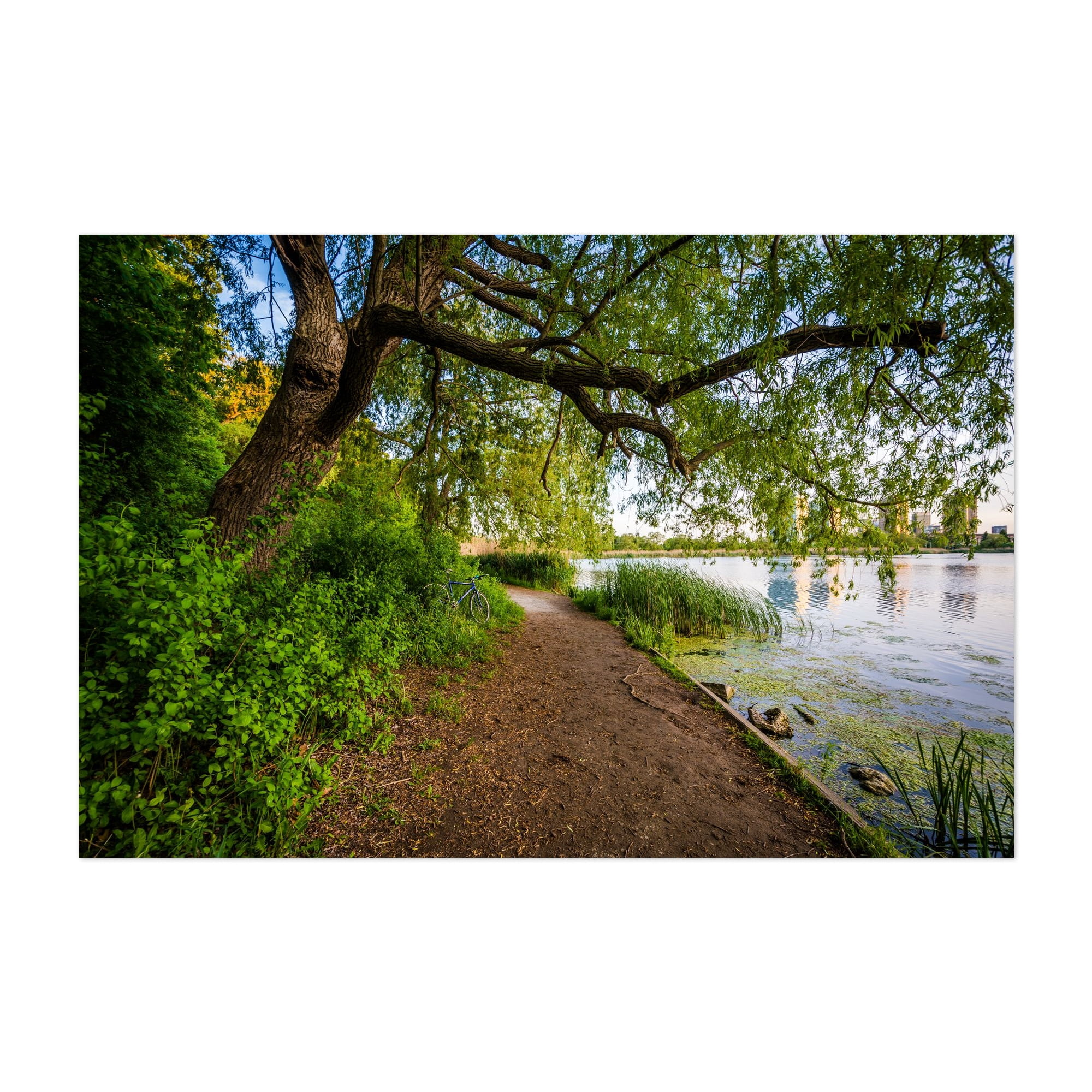 Grenadier Pond, High Park - Toronto Ontario Canada Photography Nature ...