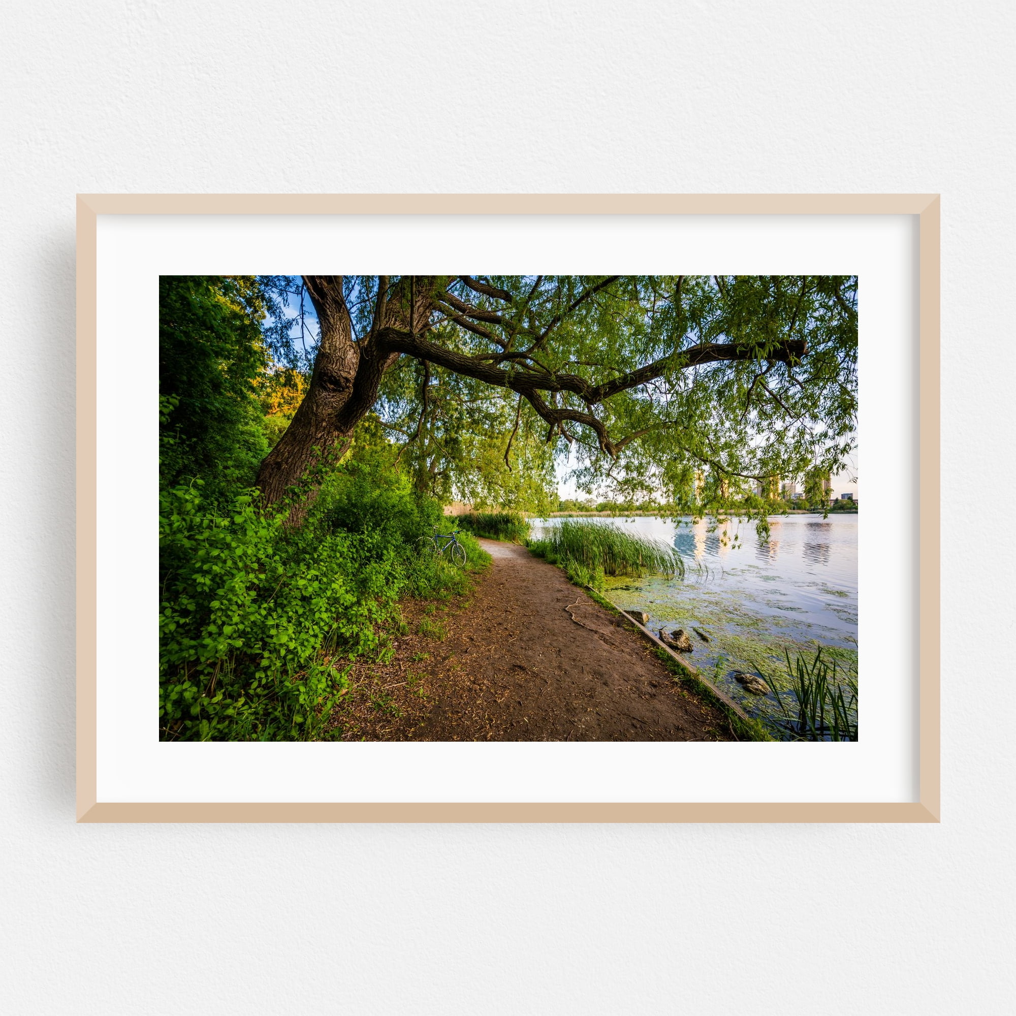Grenadier Pond, High Park - Toronto Ontario Canada Photography Oak Framed Wall Art Print 20 x 30 ...